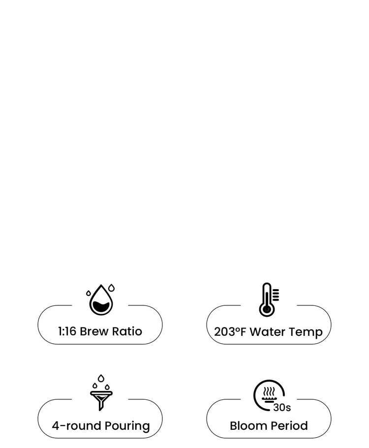 GEVI | BrewOne Professional Barista Pour-over Coffee Machine & Maker ...