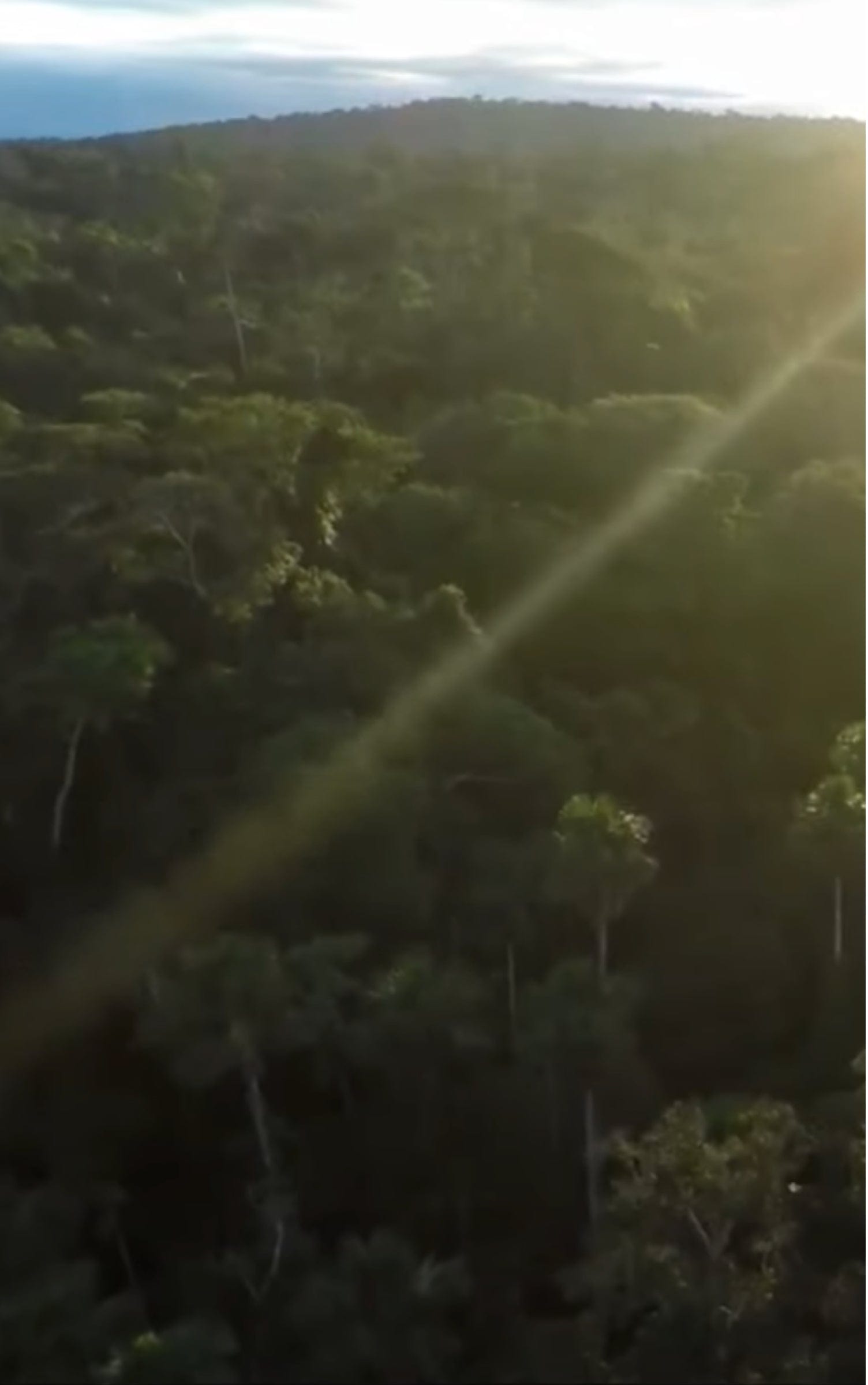 Gevi | High End Coffee Machines, Ice Makers & Vacuum Cleaners – GEVI